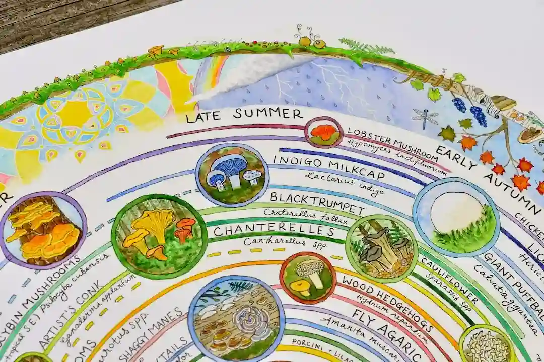 Magic Mushroom Map: Explore The Ultimate Shroom Map Guide [2026 Guide ...